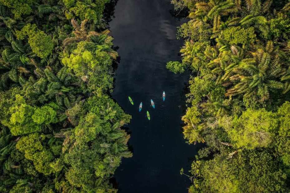 Explore Ecotourism in Costa Rica's Breathtaking Wilderness